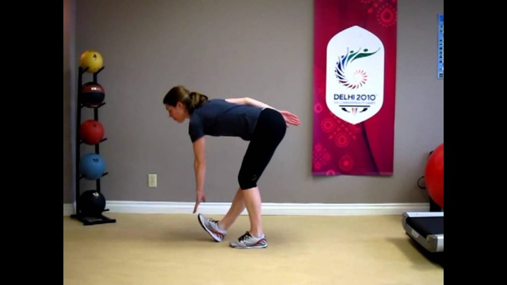 Hammy Stretch - Educación Financiera